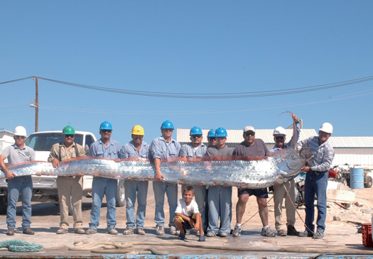 The Paranormalistics: Cryptid Creatures