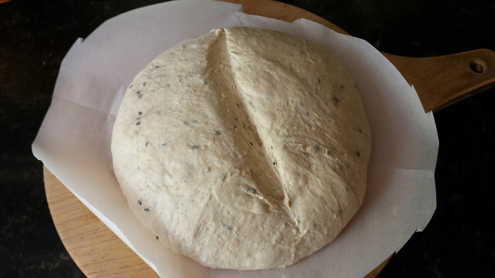 Judy's Gross Eats: Novel Food #33 (summer edition): Bread