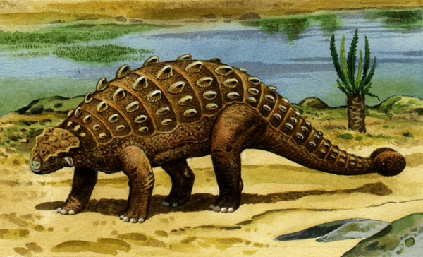 As cousas da clase : Dinosaurios: Pinacosaurus