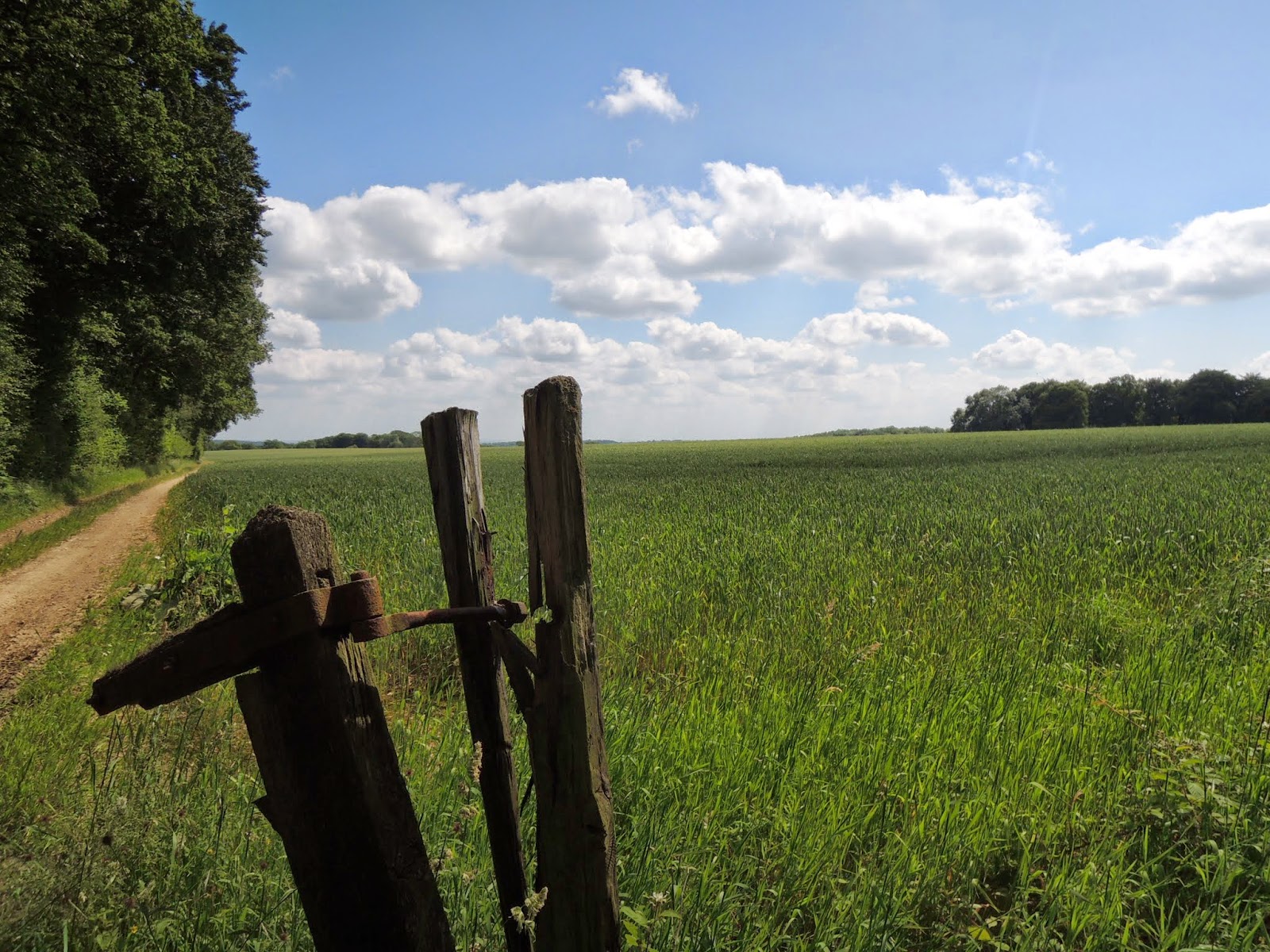 Pies and Fries: Fox and Hounds, Christmas Common