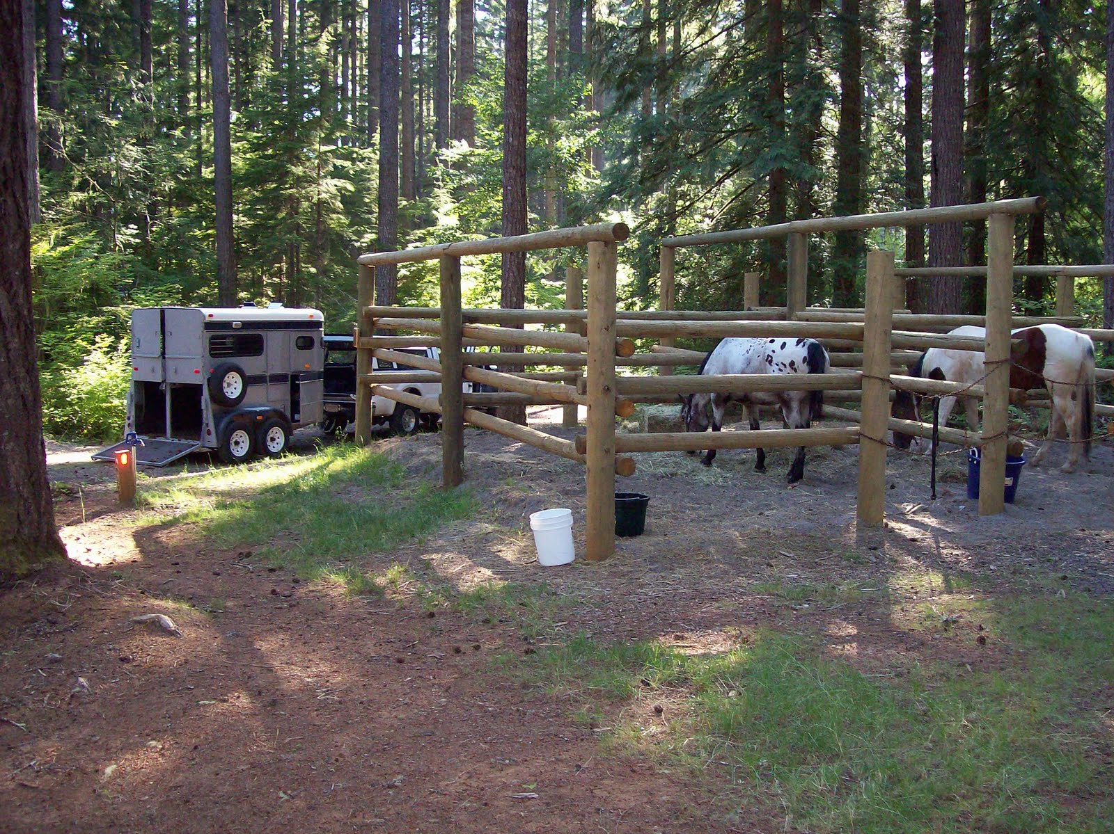 Apple-Bombing Urban Homestead: Horse Camping Campground Review