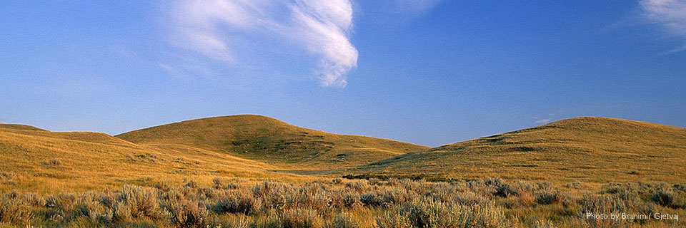 Every Day Is Special: February 19 – Family Day in Saskatchewan