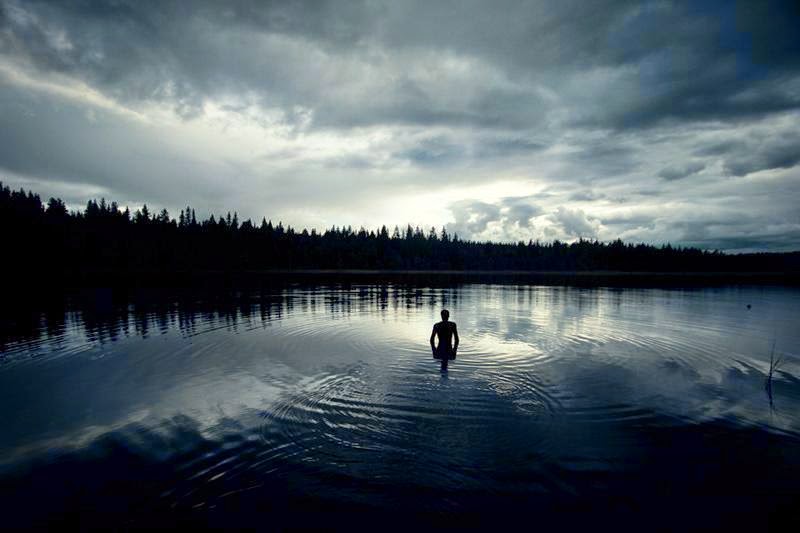 o.insecto: A importância das trevas