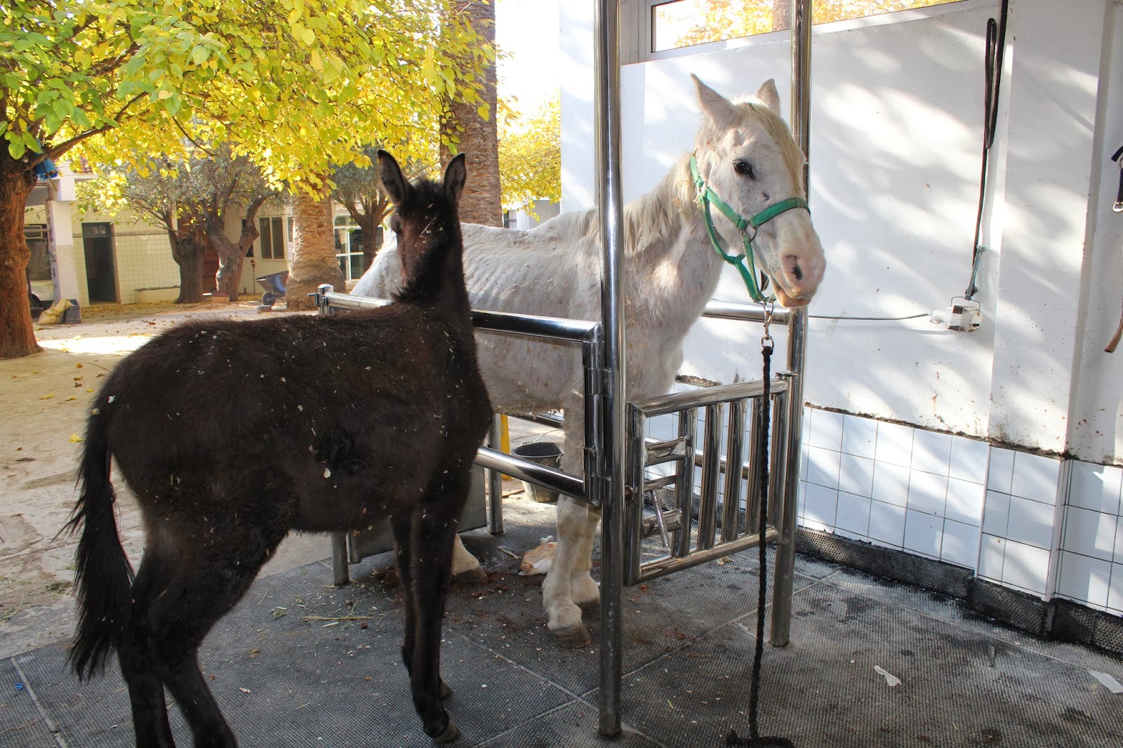 The Ninth Year...: Morocco: The American Fondouk