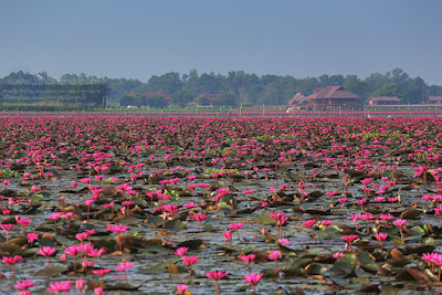 Thale Noi, Phatthalung - The Best Thai Attraction 2016