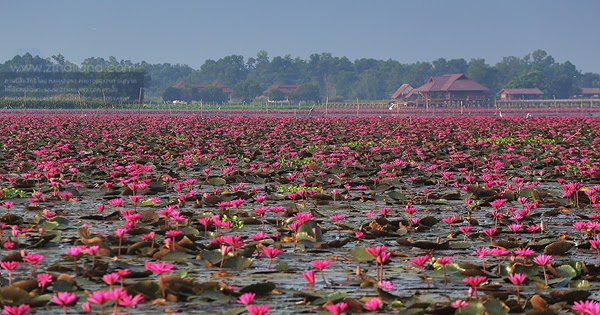 Thale Noi, Phatthalung - The Best Thai Attraction 2016