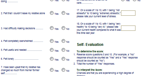 Health Care Services: PHCSI-Caregiver Self-Assessment Questionnaire