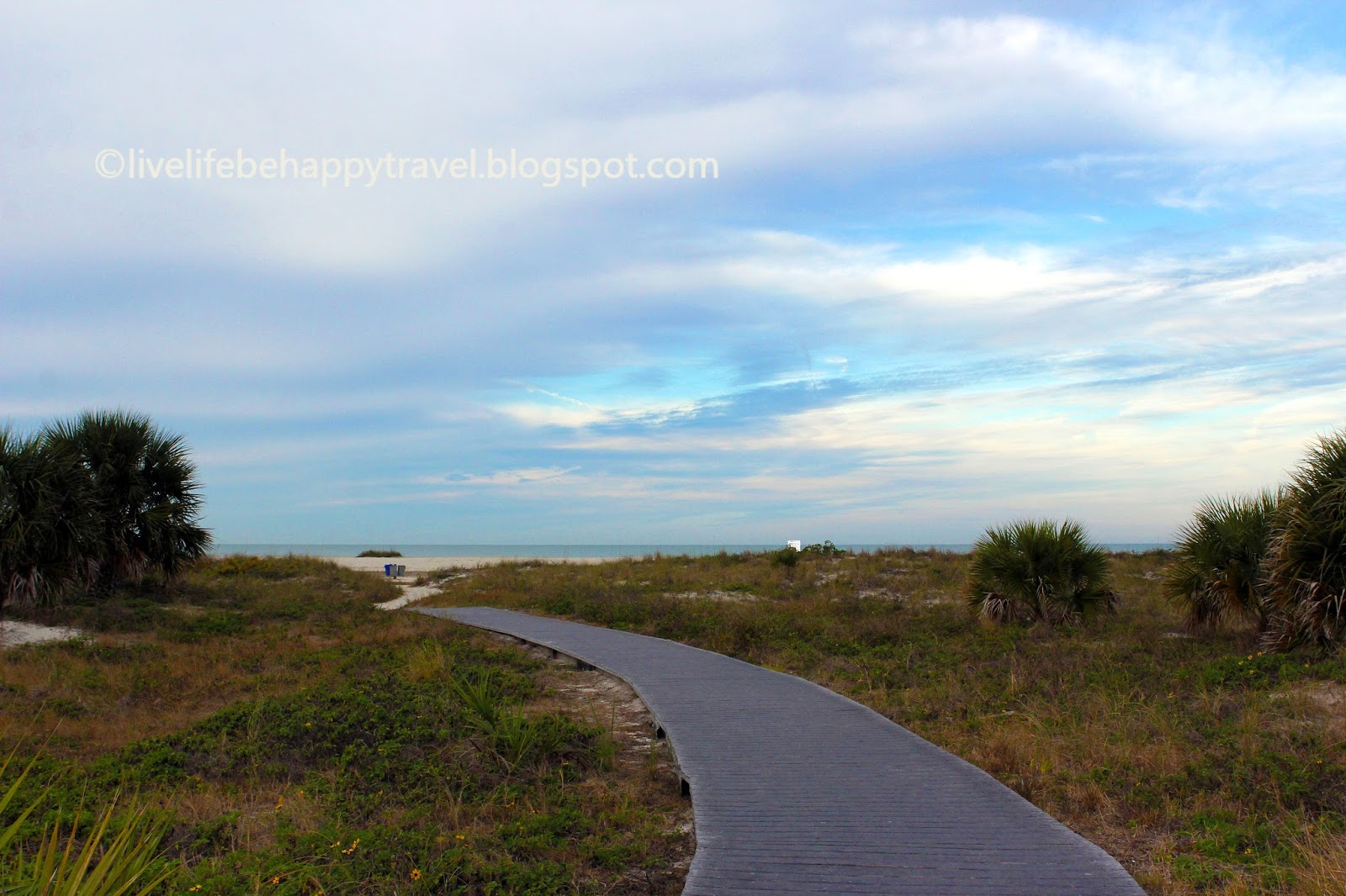 Life and Coconuts: Discovering Florida's Hidden Treasures: The Best ...