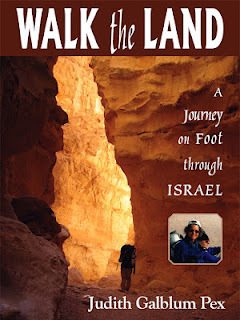 Novel Reviews: Judith Galblum Pex's Walk the Land ~ Reviewed