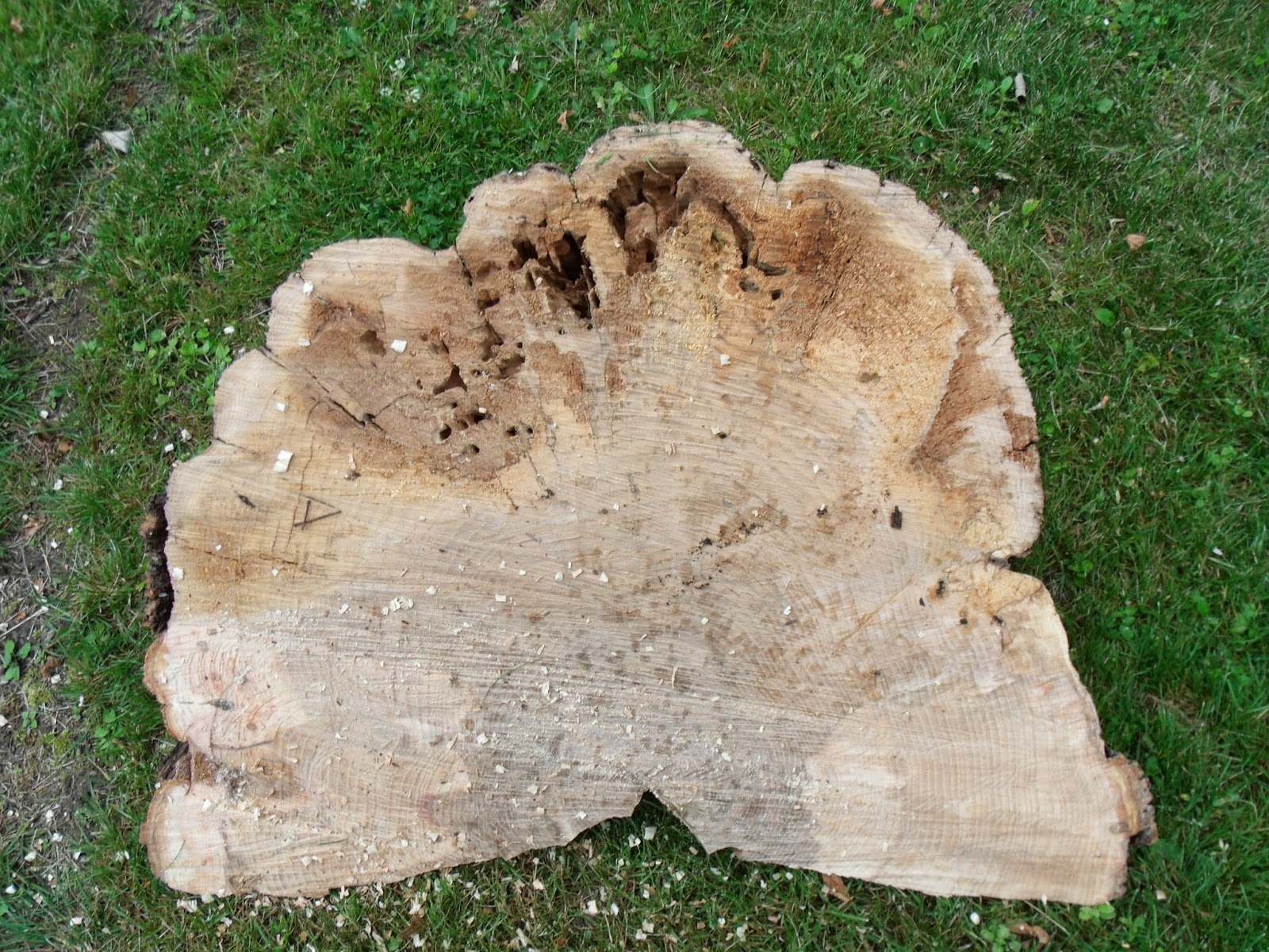 Gear Acres at Top of the Hill: TIMBER!!!!