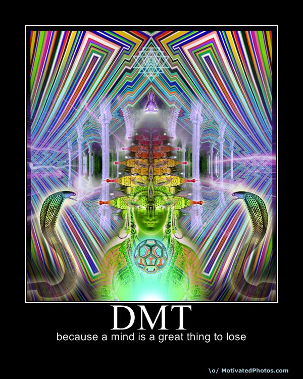 Sguardi nel LogoS: QUALI SONO LE IMPLICAZIONI DEL DMT?