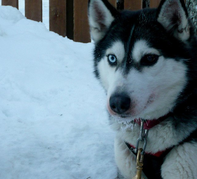 Una Ventana al Mundo: enero 2012