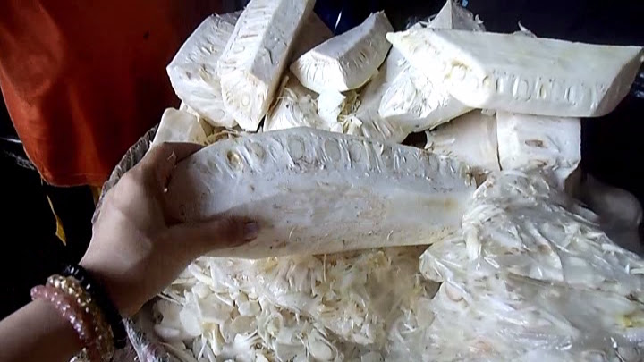 Tagalog Kitchen: Fresh Young Jackfruit Cooked in Fresh Coconut milk ...