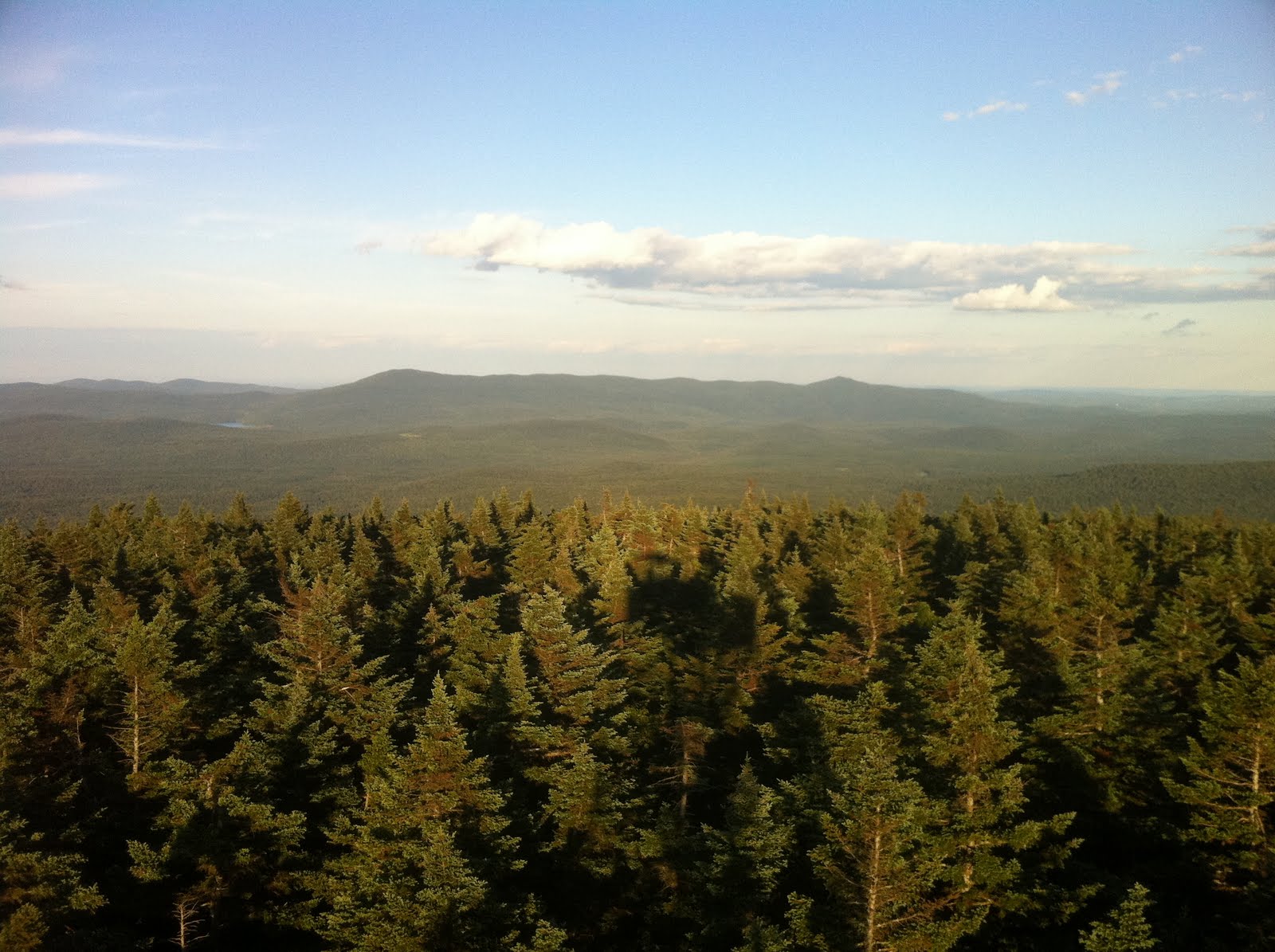 Walking with Red Oak: View from Glastenbury Mt. Fire tower