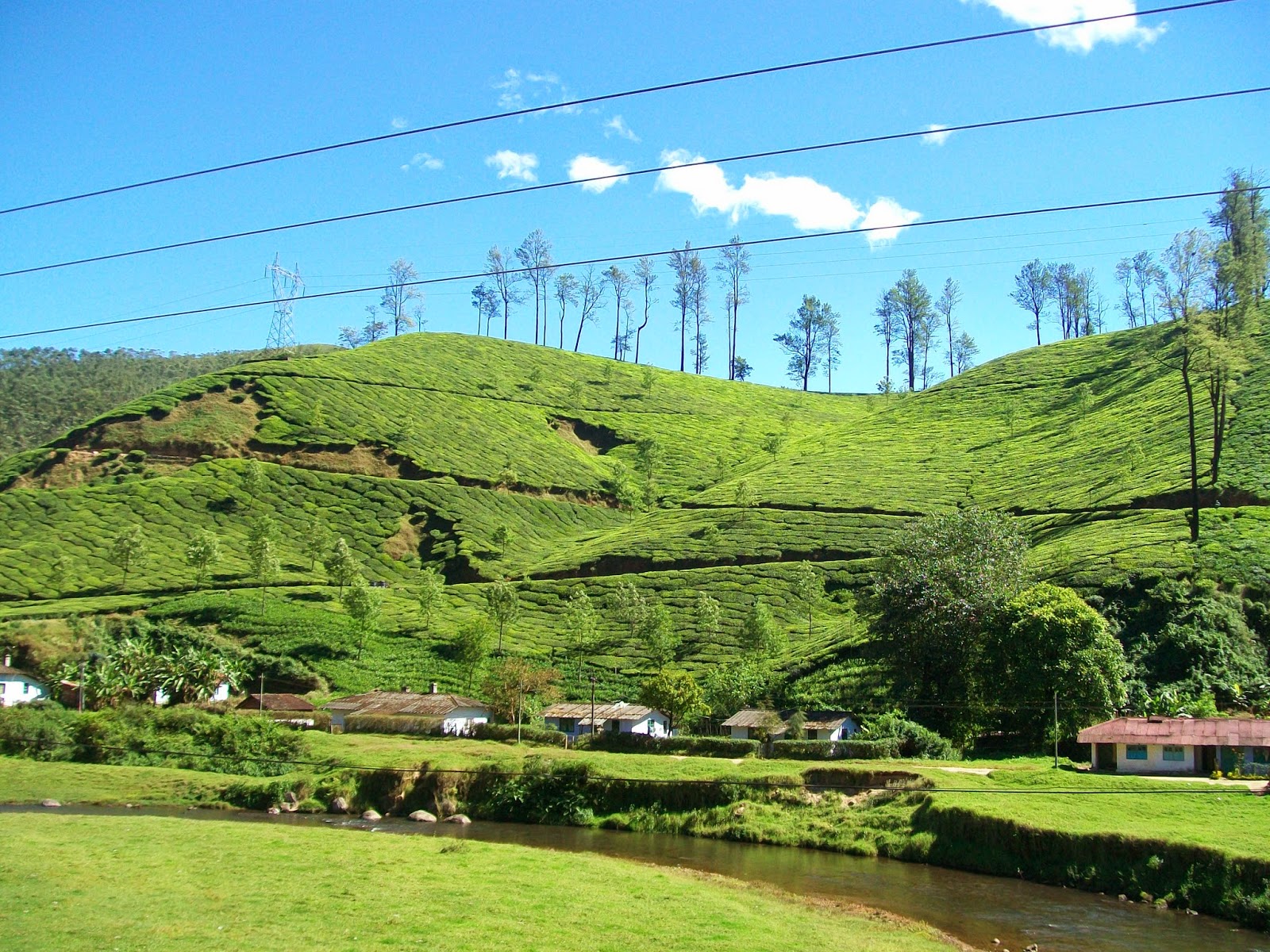 Munnar - T4Travel