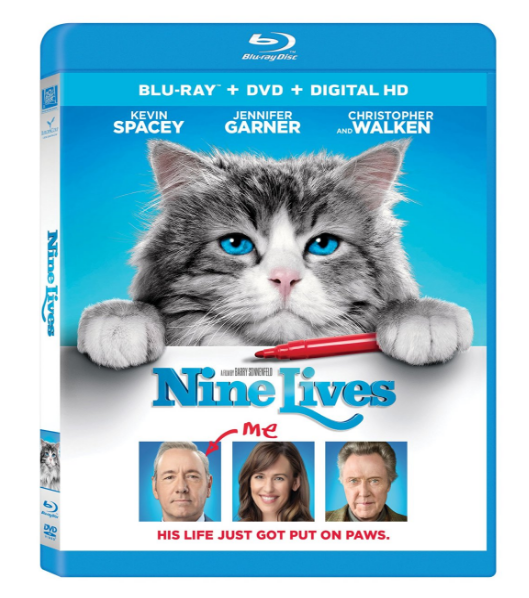 Susan's Disney Family: Nine Lives inspired Kitty Litter Cake! Nine ...
