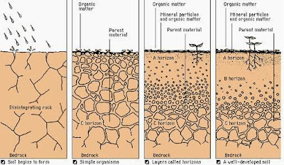 Enhanced rock weathering could counter fossil-fuel emissions and ...