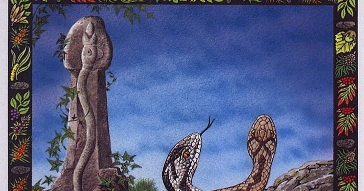 Druids Raven: Druid Animal Oracle: Adder