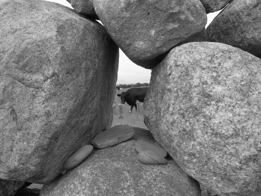 Technique Twelve: unusual viewpoints