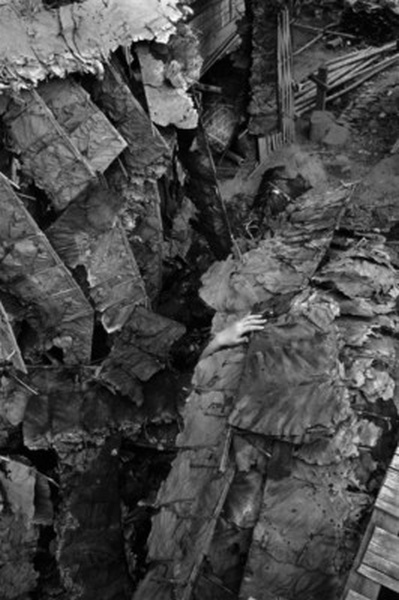 Los Grandes Fotografos: John Vink (1948)