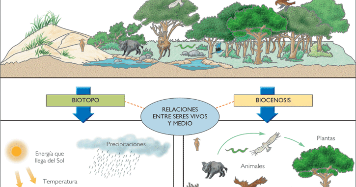 científicos loquiños: factores limitantes