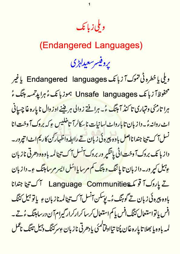 Brahui and Endangered Languages - Professor Saeed Lehri ~ Brahvi Time