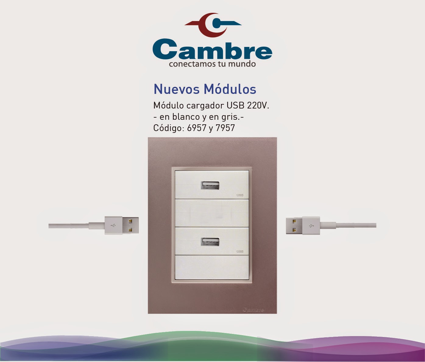 2020 empresas: Nuevo modulo: cargador USB