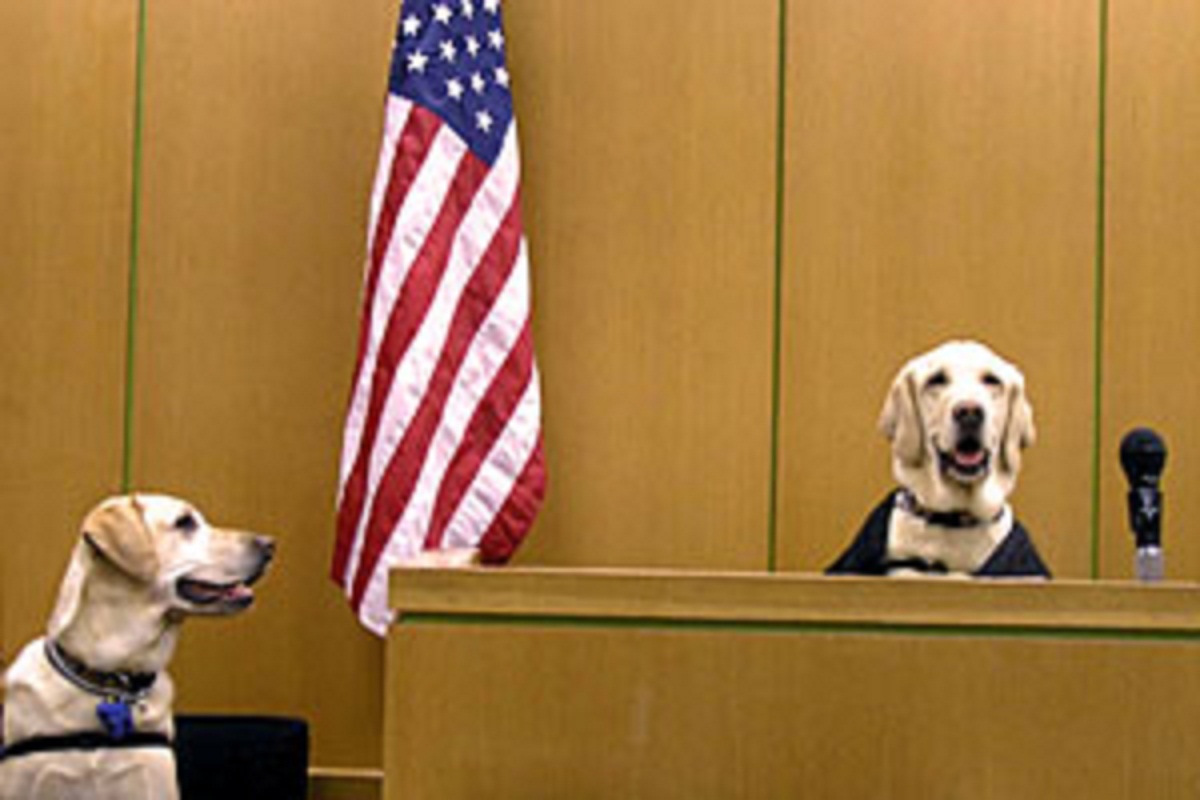 Bizarre Dog Laws Doglopedix bizarre-dog-laws-doglopedix