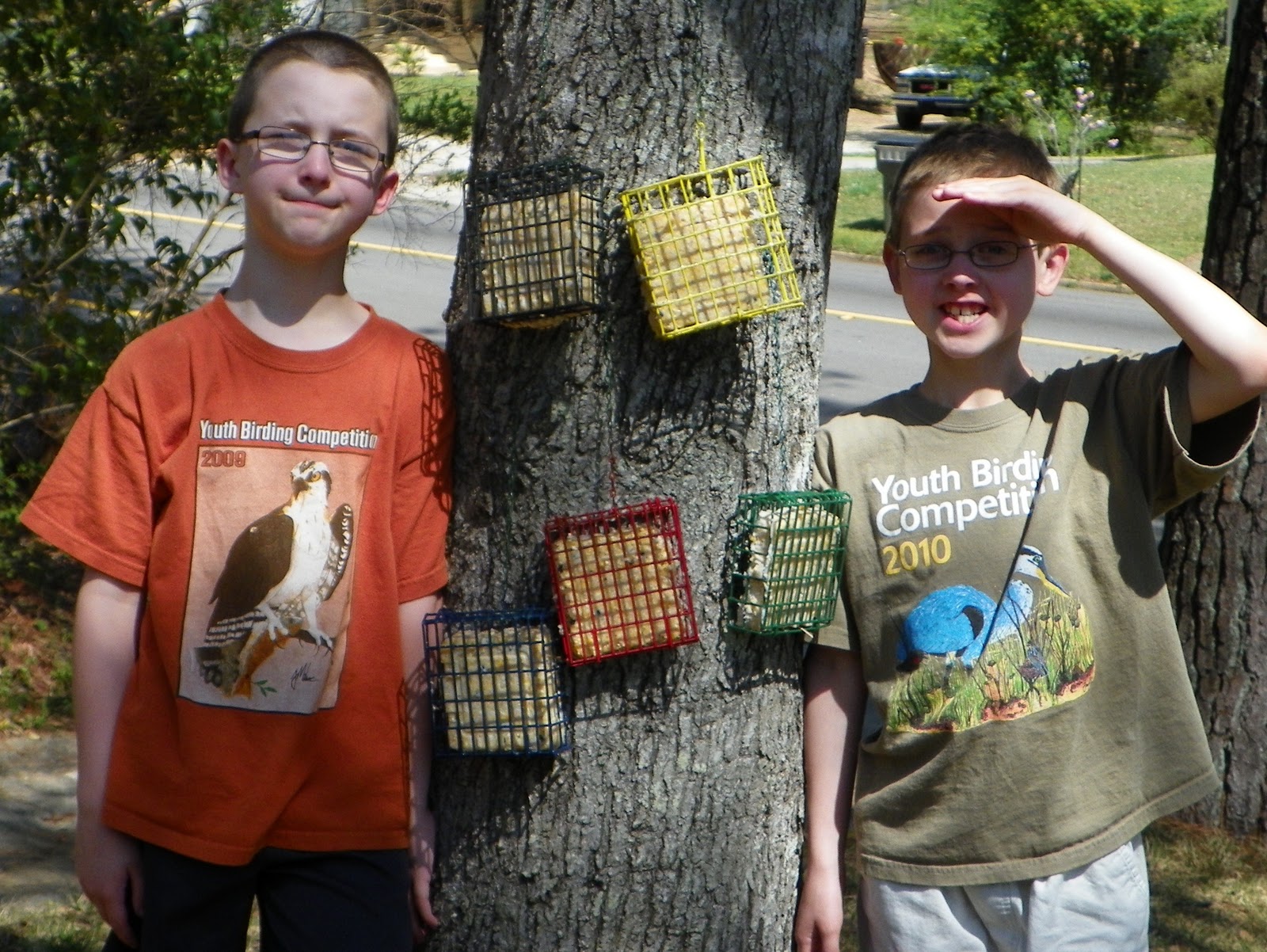 Home School Dawn: Science Fair 2011