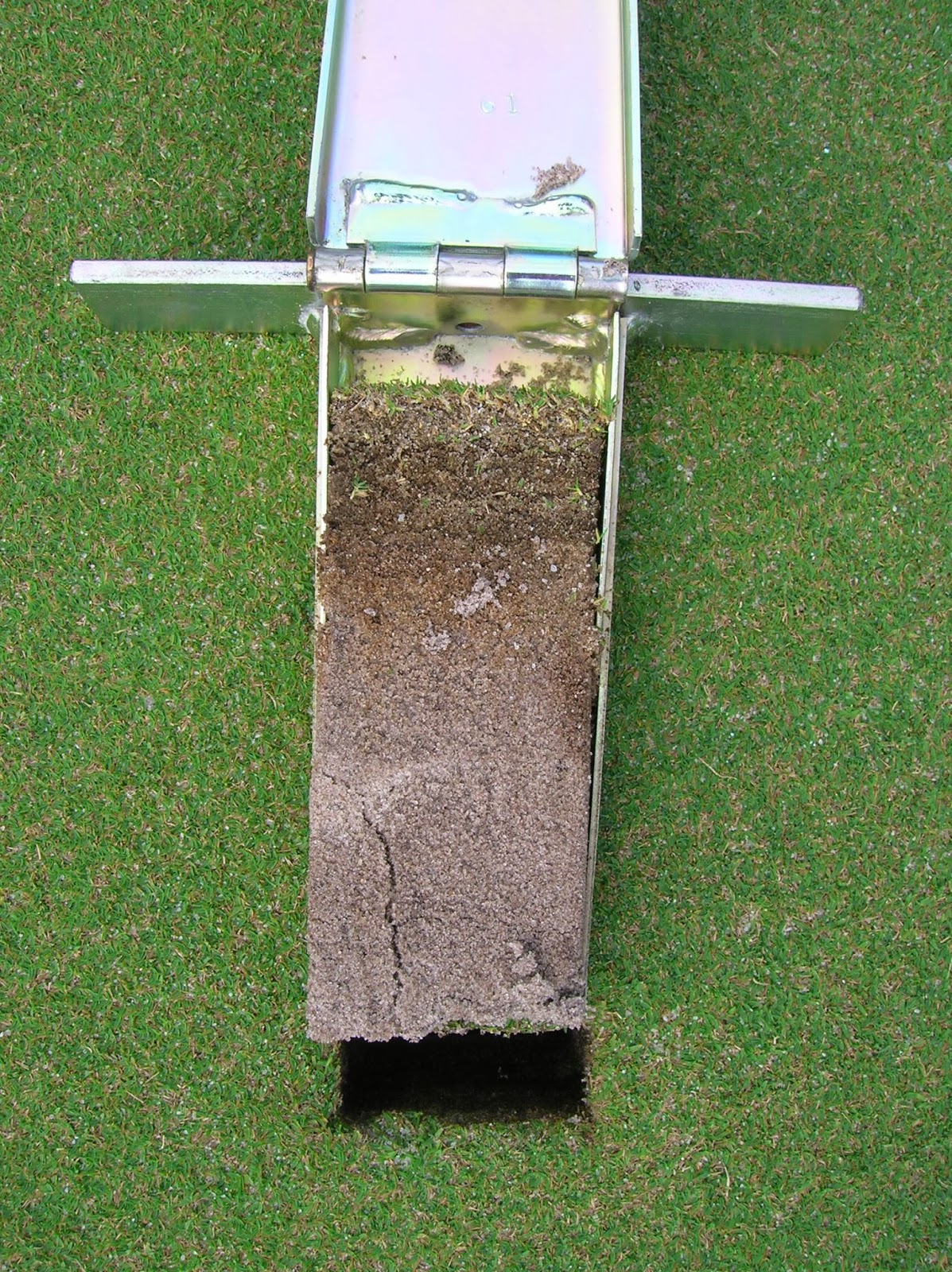 The Forest Country Club Golf Course Maintenance : Black layer on Bear ...