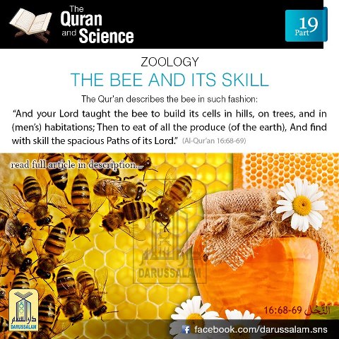 The Quran anc Sicence "THE BEE AND ITS SKILLS"