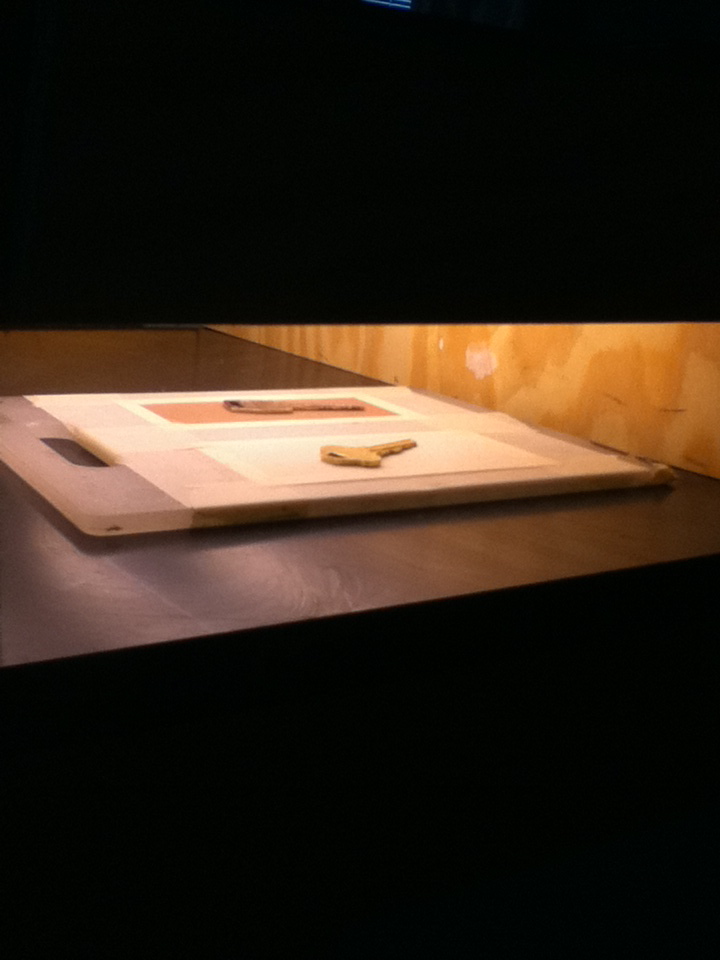 19th Century Photographic Processes: Photogenic Drawing - Process