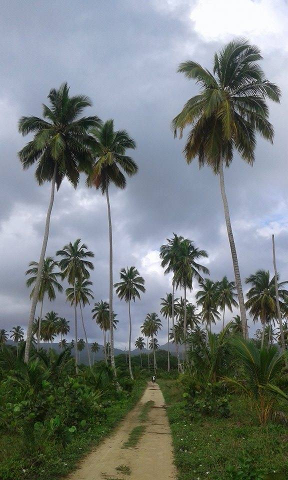 PandeVamos: Playa Rincón-Samaná