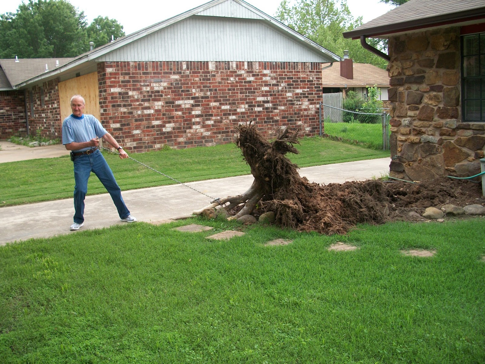 Penless Writer: MORE ON THAT TREE STUMP