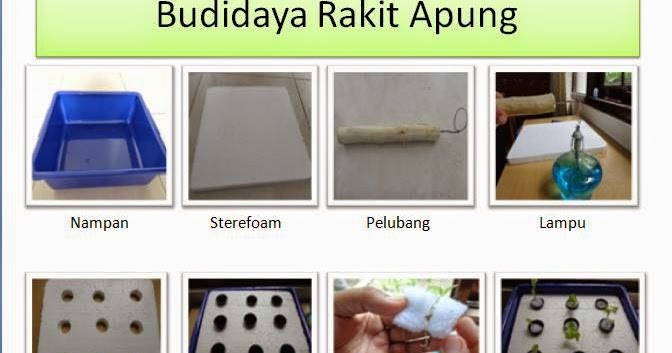 Cara Membuat Hidroponik sistem Rakit Apung / Water Culture di Bak ...