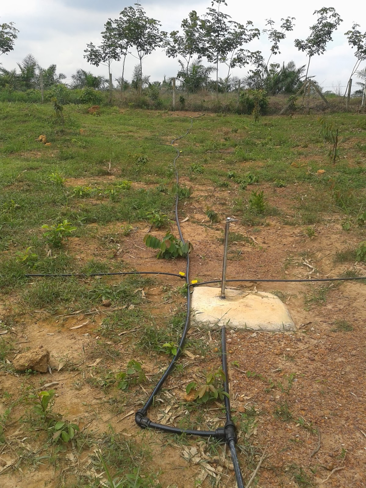 Mencari Keberkatan Melalui Pertanian: Pentingnya Sistem Pengairan