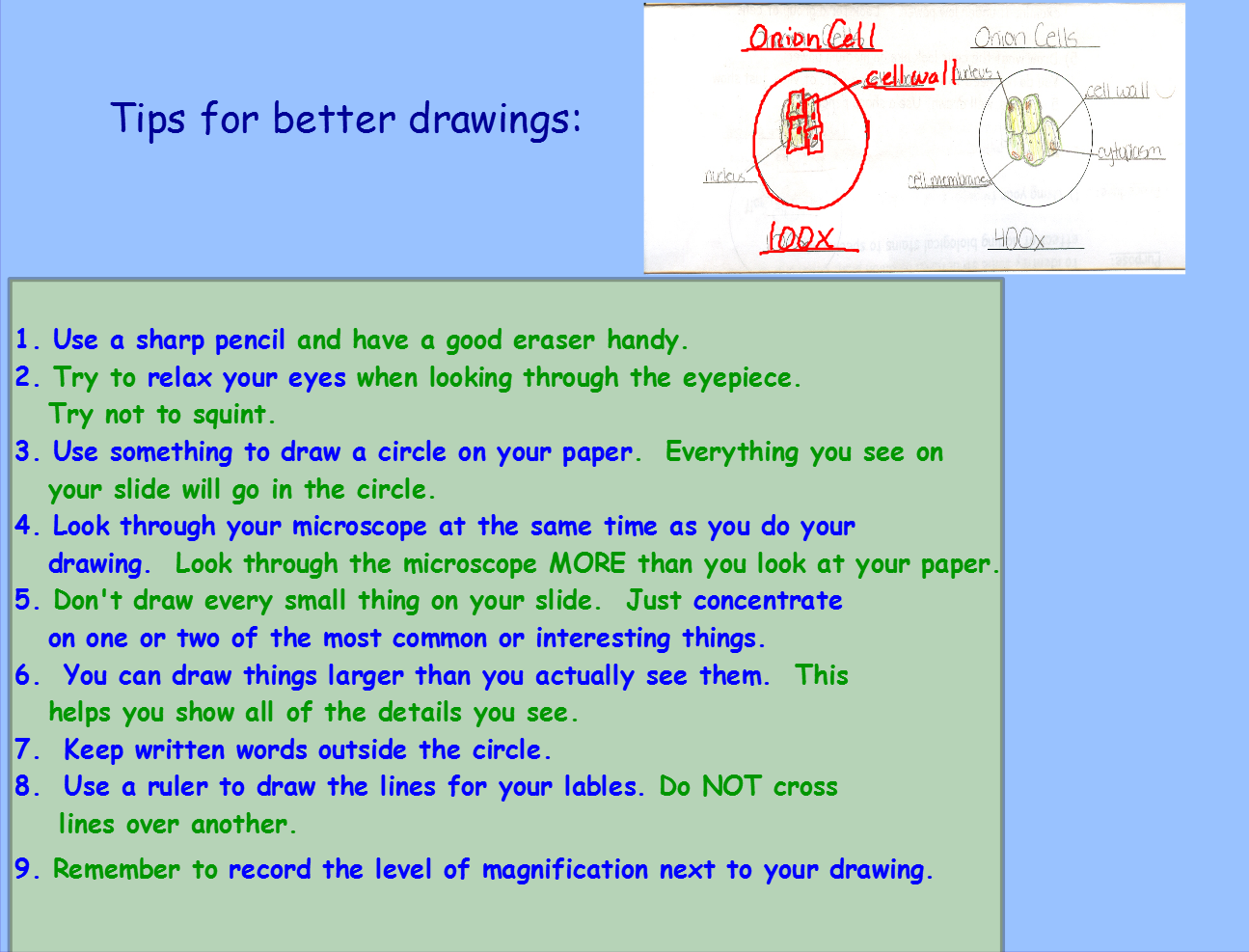 Mrs. Counts 7th grade Science Class: October 2017