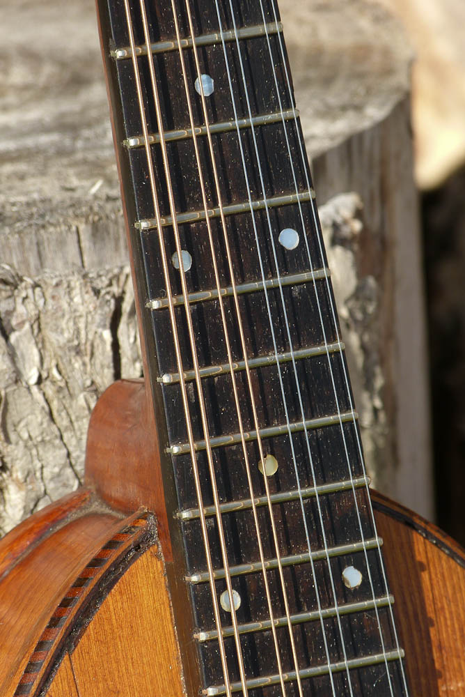 c.1923 Weymann Style 30 Mandolute Mandolin