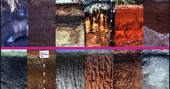 Pengertian Tanah dan Macam-macam Jenis Tanah di Indonesia beserta ...