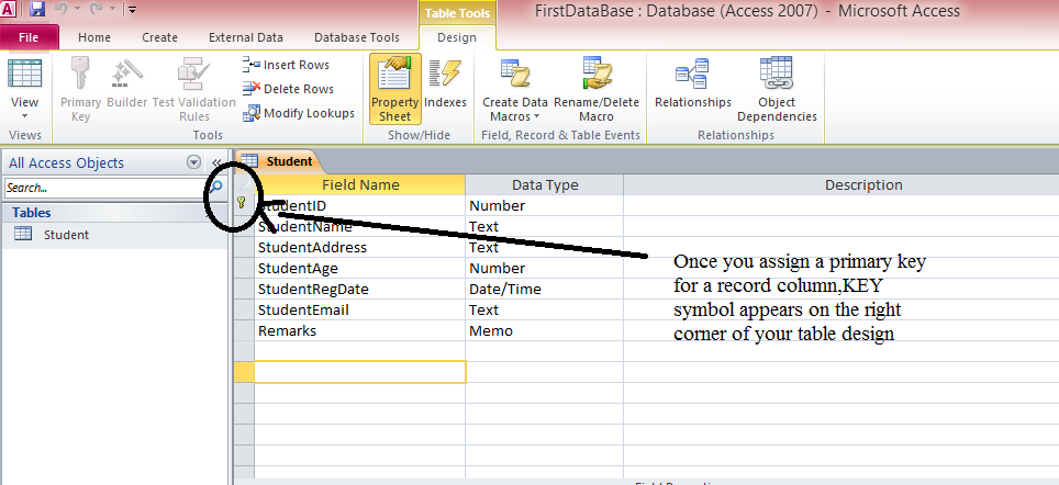MS Excel,MS Access,Google Sheet: MS Access for Beginners