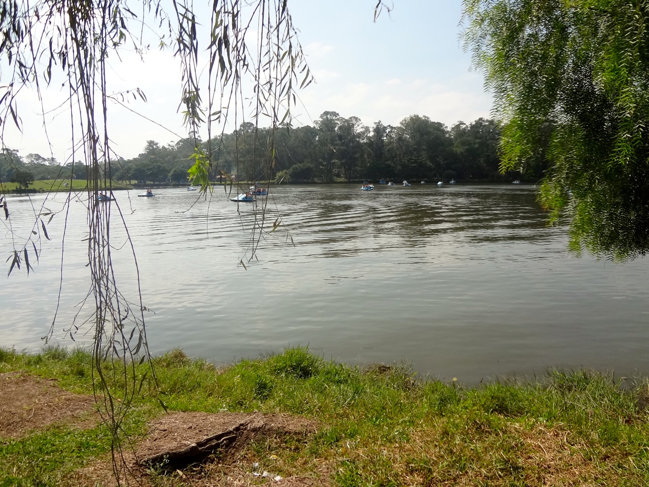 Parque Ecológico do Tietê_Núcleo Engenheiro Goulart em São Paulo ...
