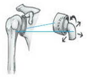 Belajar IPA: Macam macam sendi pada tubuh manusia