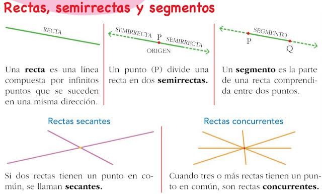 Rectas, semirrectas y segmentos
