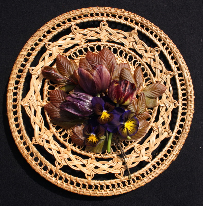 My Virtual Maryland Garden: Tulip medallion with broken tulips