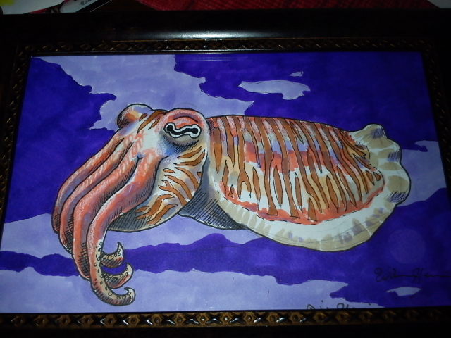 Bearded Bunny Blog: Cuttlefish Art