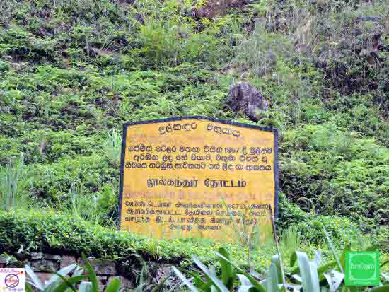 Lanka Pictures Page: James Taylor’s Loolkandura. The First Tea ...