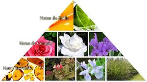 Artesanato Lucrativo: Entendendo a Pirâmide Olfativa