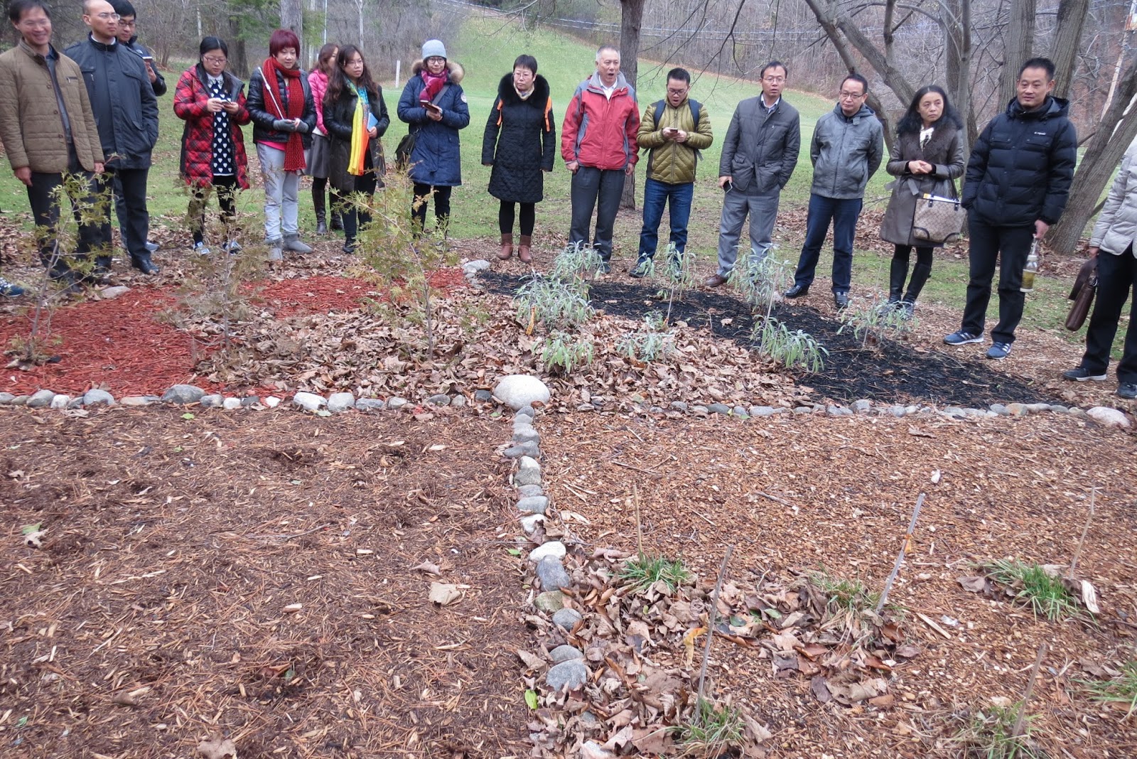 Adventures in PEI and Beyond!: Forest Valley - A Toronto District ...