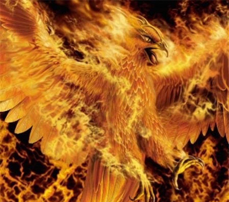 Blog do Kenzo: Fênix