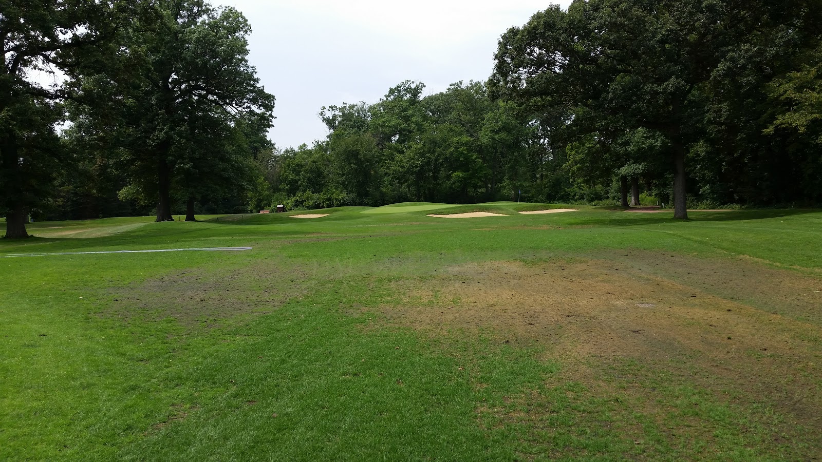 Wilmette Golf Club Grounds and Greens : Seeding Process